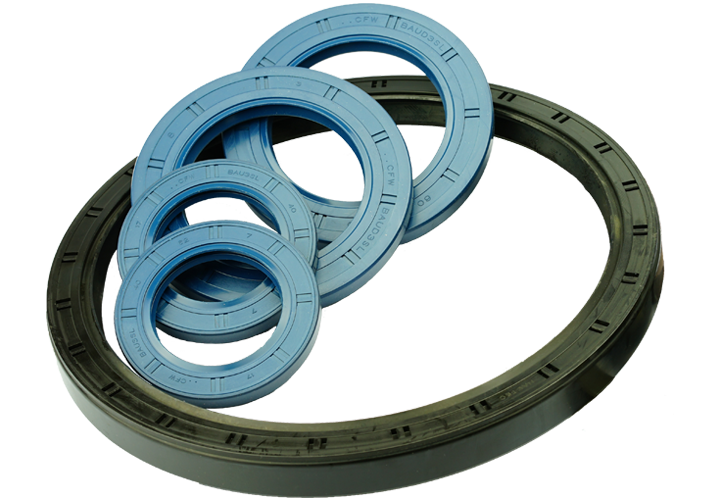 V ring seal - cismmc